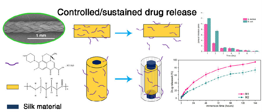 Antibacterial Surgical Silk Sutures Using A High-Performance Slow ...